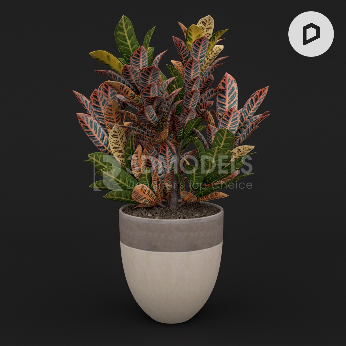 Plants - RT3DModels is a website that offers free real-time 3D models ...